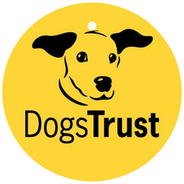 Woofits Doggy Day Care - Dog Day Care & Boarding Centre